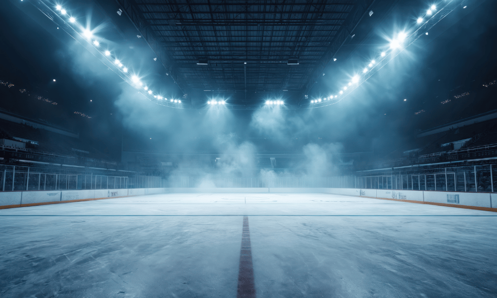 IT worker sues NHL, accuses HR chief of retaliation and blacklisting ...