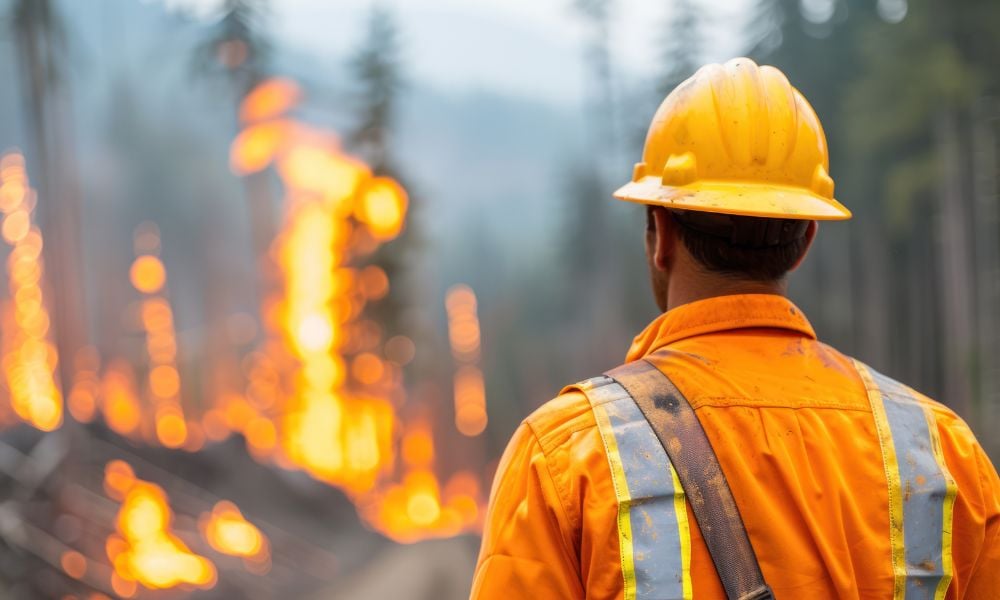Oregon Supreme Court eliminates state employee immunity in workplace ...