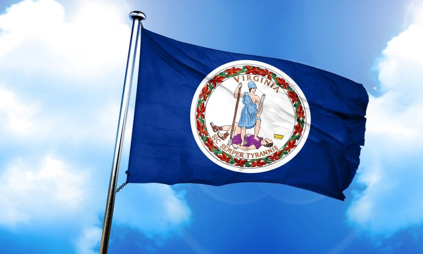 Virginia mandates insurers to document every loss estimate cut over ...