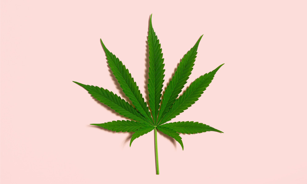 Lawyer Randy Maslow appointed interim CEO of iAnthus Capital Holdings ...
