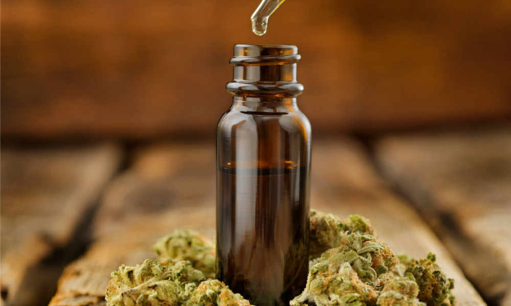 Former Sobeys GC Karin McCaskill is nominated to the board of cannabis ...