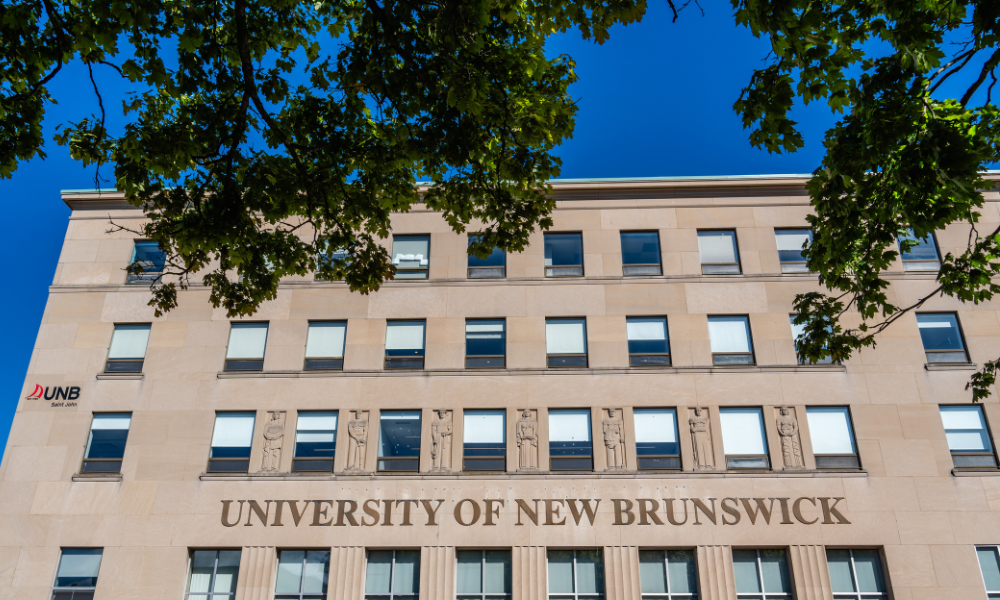 Summarily dismissed coach should have gotten progressive discipline: NB ...