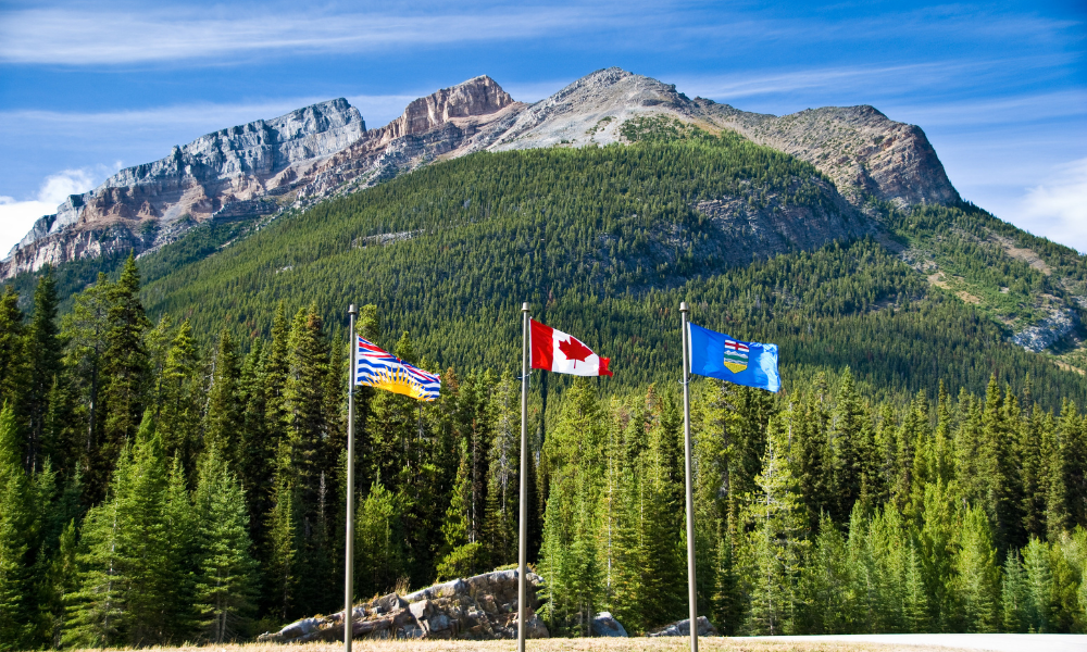BC law society election results: six new benchers named, 16 re-elected ...