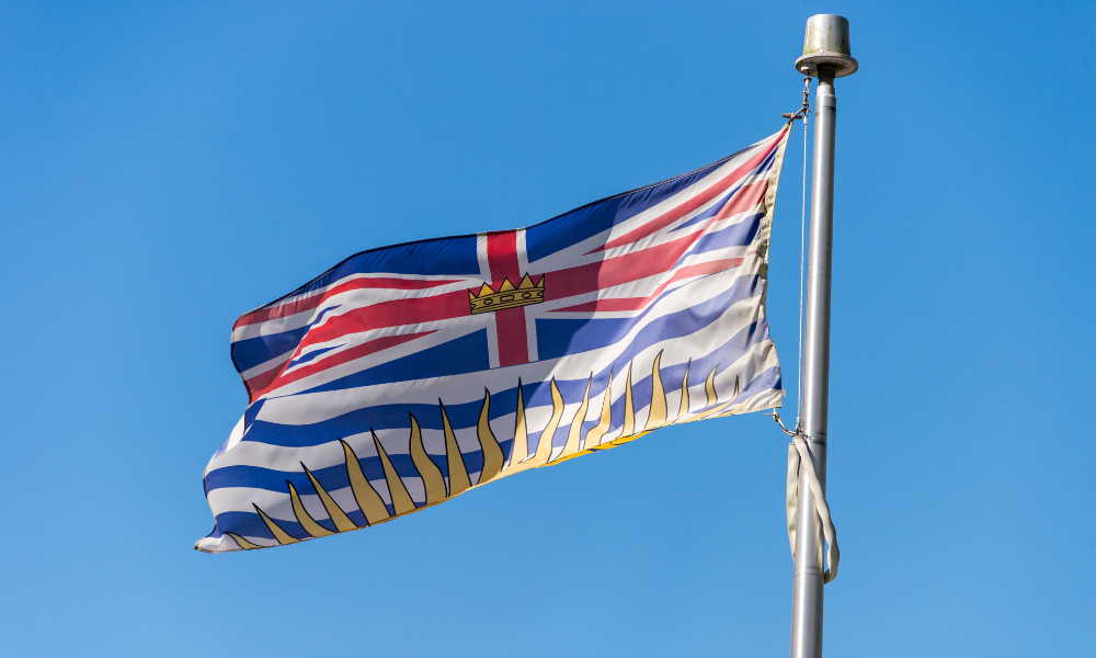 Law that replaces Law Society of BC, diminishes bar’s self-regulation ...