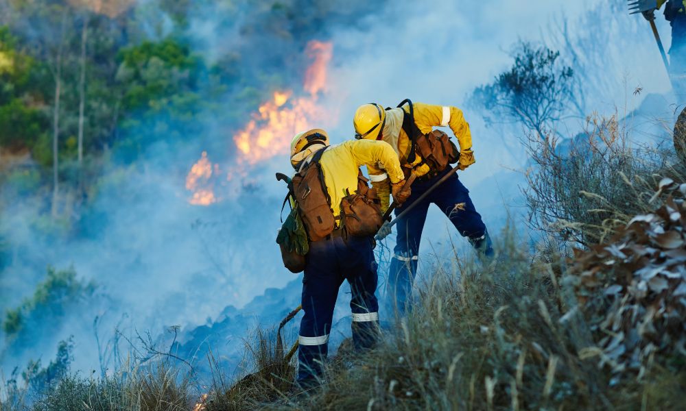 Insurers aid in California wildfire recovery efforts | Insurance Business