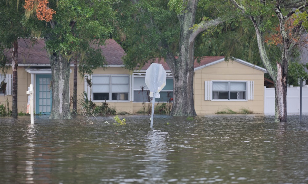 State Farm, Citizens brace for losses from Hurricane Helene | Insurance ...