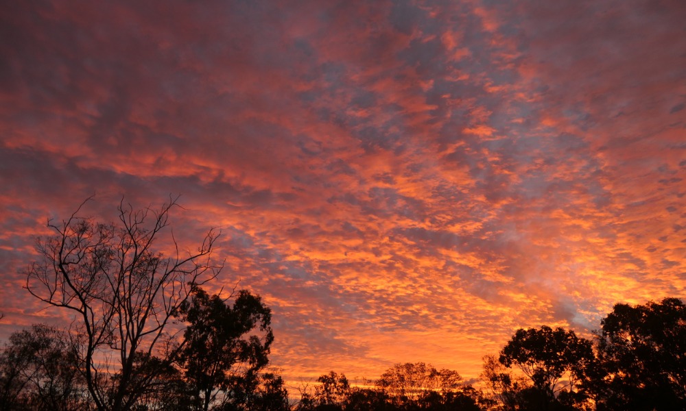 Steadfast partners with Orange Sky Australia for 2024 convention ...