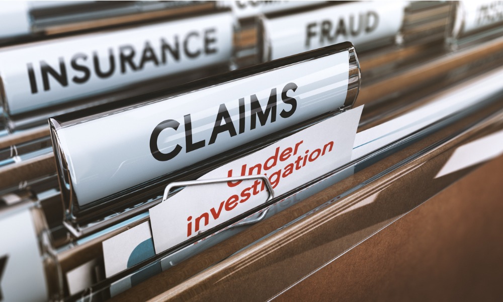 Top 10 craziest insurance claims ever reported | Insurance Business
