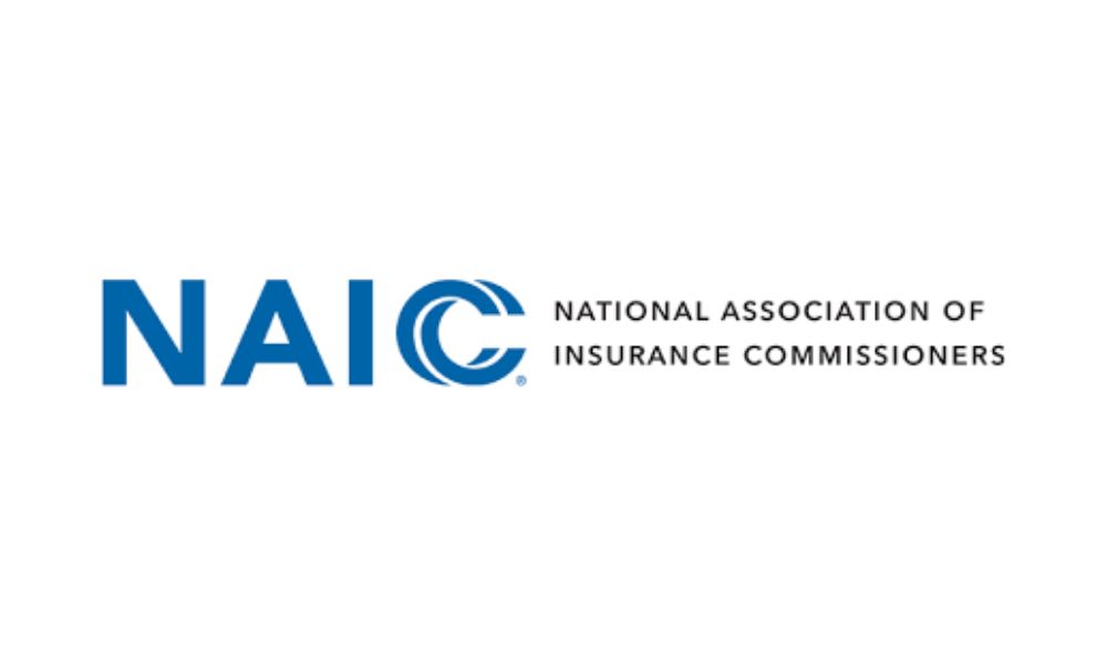 NAIC gives green light to new rules on insurer reinvestment assumptions ...