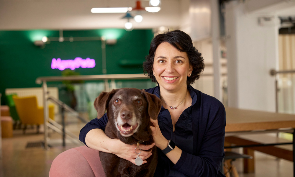 Pet insurer reports £6.25 million profit after years of losses ...