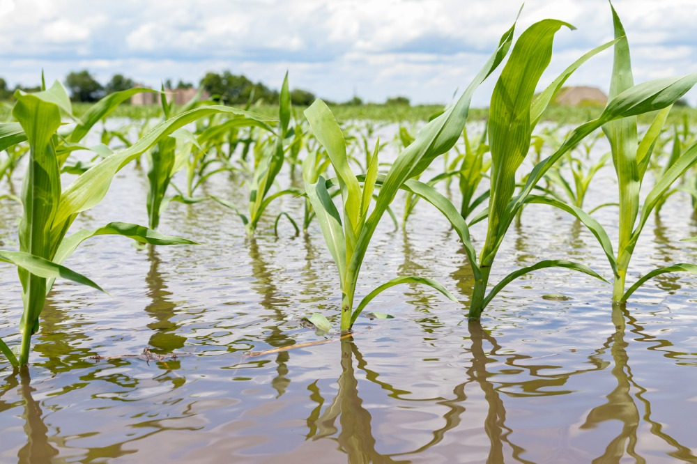 SCIC increases 2023 crop insurance coverage – and premiums | Insurance ...