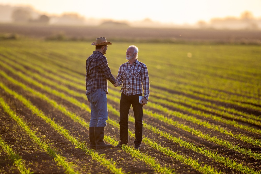 Saskatchewan faces projected deficit driven by higher crop insurance ...