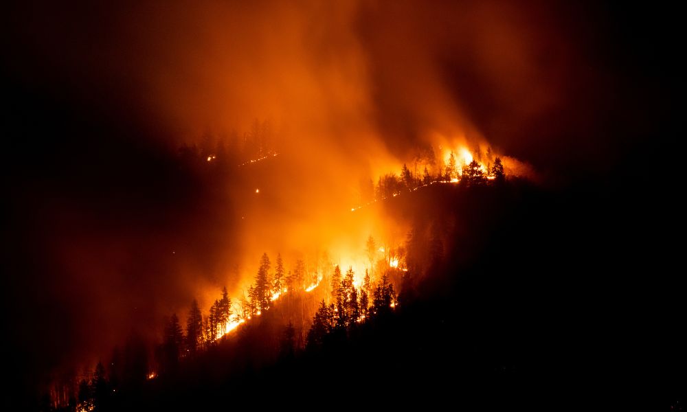 Wildfire smoke chokes Calgary; insurers on alert as fires intensify ...
