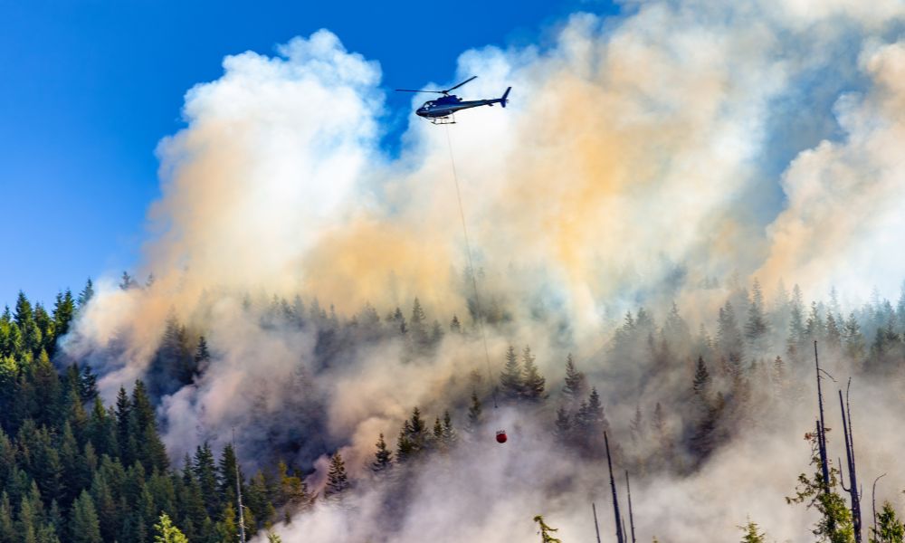 Canadian Institute of Actuaries releases wildfire risk guide for P&C ...