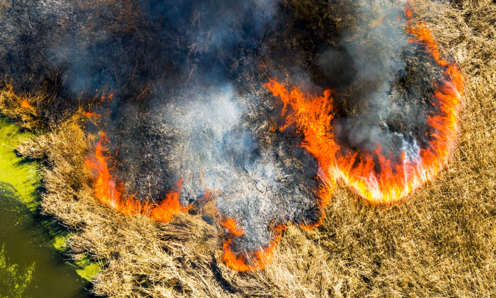 'Zombie' fires turn Northern wildfires into multi-year insurance risk ...
