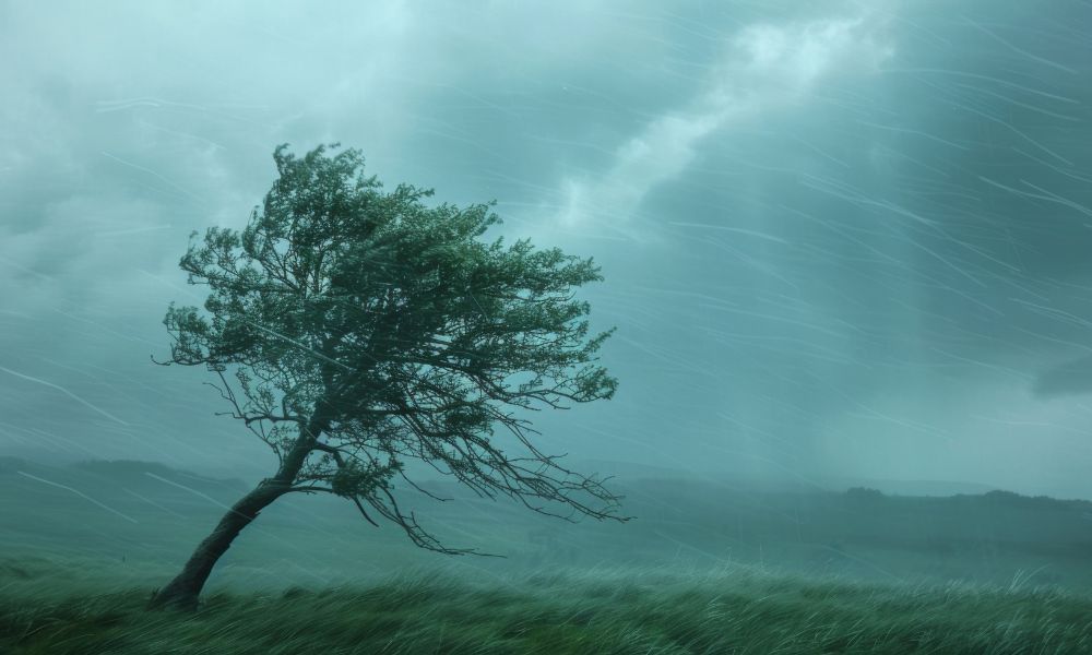 Cyclone Vaianu set to lash New Zealand with severe winds | Insurance ...