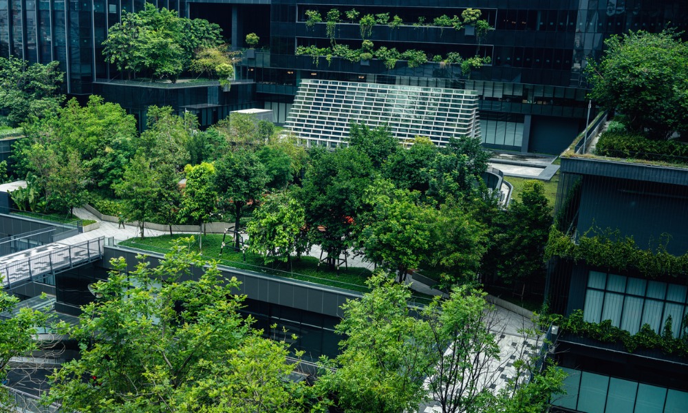 MetLife outlines significant strides in diversity and green initiatives ...