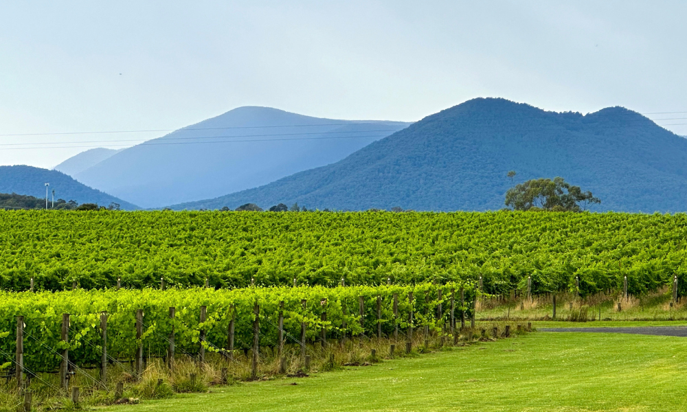 McLardy McShane expands into Yarra Valley in new joint venture ...