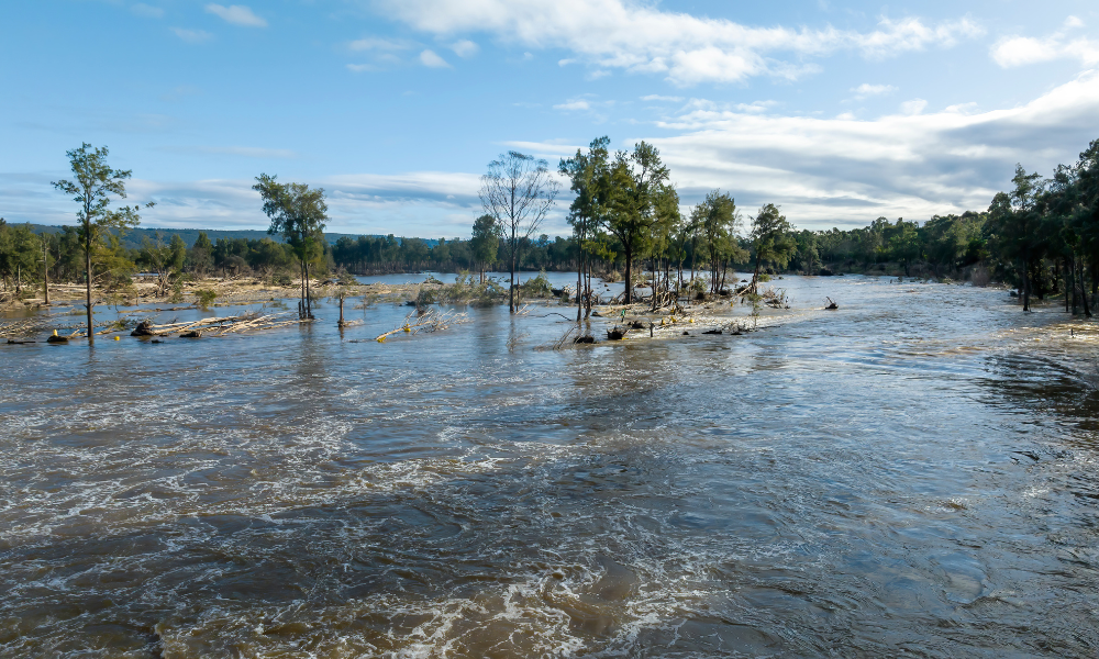 NSW floods declared insurance catastrophe | Insurance Business