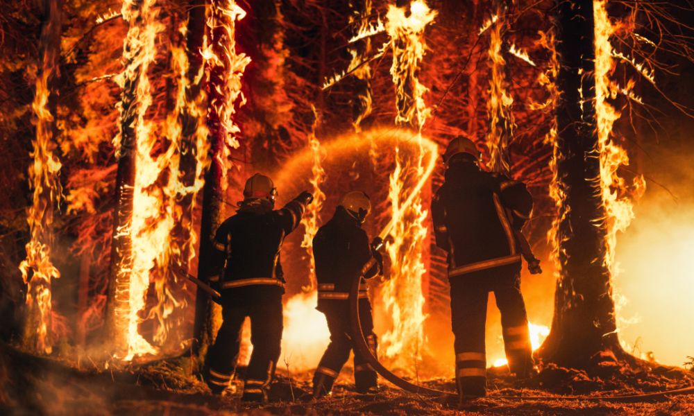 Insurers, government coordinate Victorian bushfire recovery and claims ...