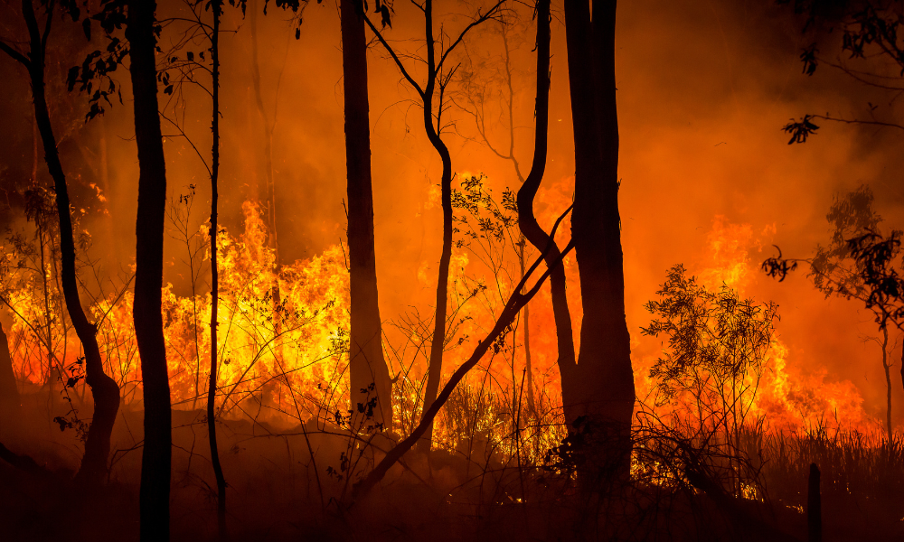 Bushfire season no longer waits for summer, but Australians do ...