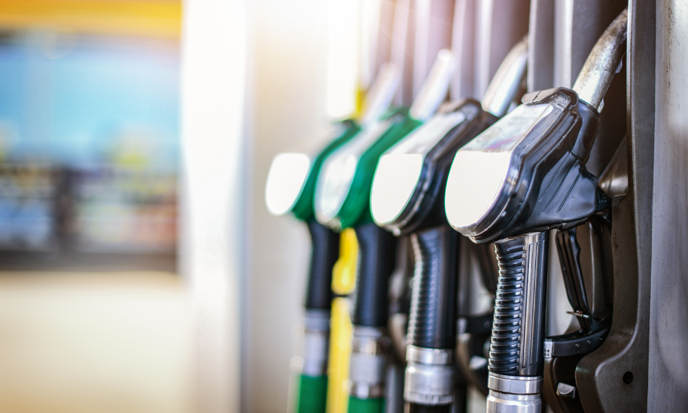 Fuel shock order forces fortnightly freight rate resets to shield ...