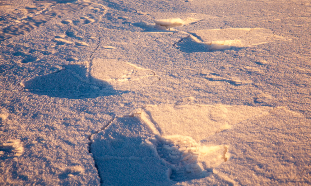 Ice excavation pit was 'a death waiting to happen' | Human Resources ...