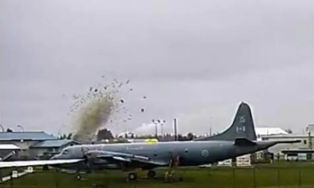 What caused the explosion at 19 Wing Comox last year? | Canadian ...