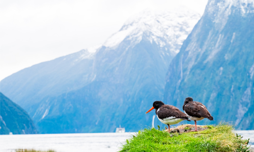 Conservation minister unveils overhaul of outdated Wildlife Act to ...