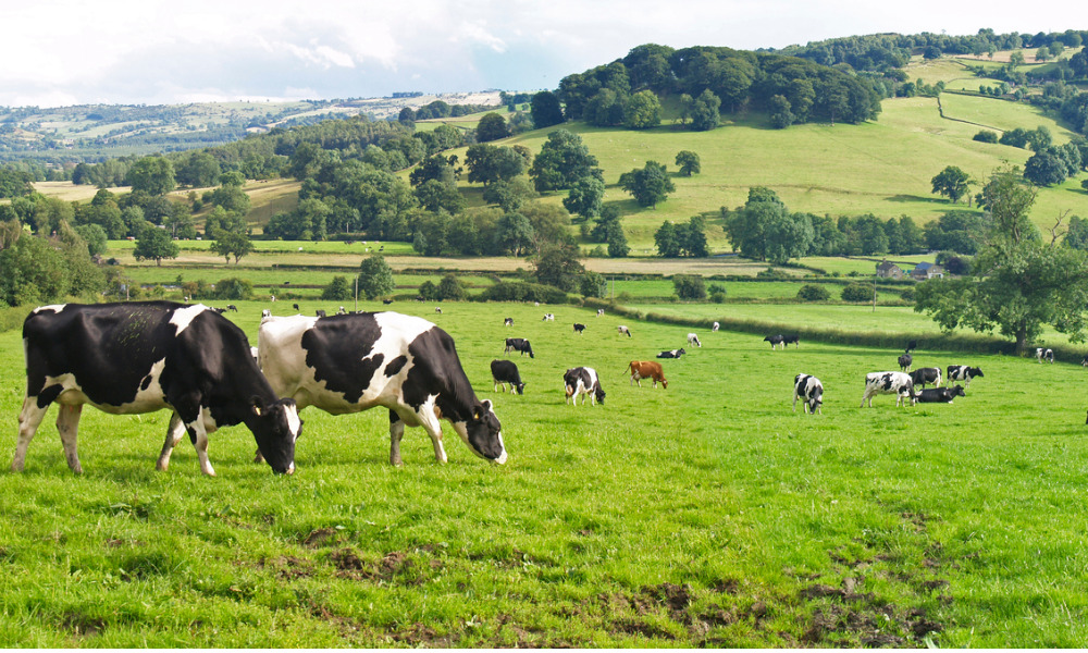New ANZ tie-up to link sustainability targets with financing | NZ Adviser