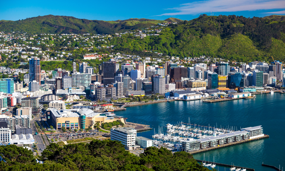 Hutt Valley house prices plunge | NZ Adviser