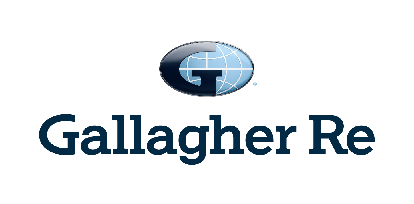 Gallagher Re names India CEO as global brokers race for position ...
