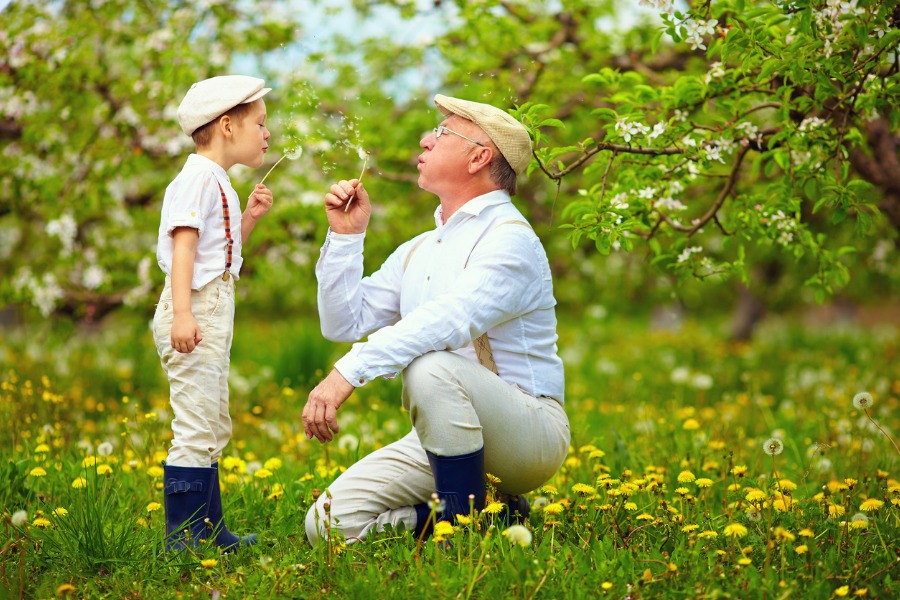 Generation-skipping trust for estate planning - InvestmentNews